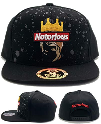 Top Level Crowned Notorious Snapback Hat – The Hat Store USA