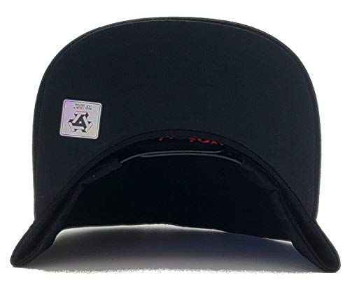 Top Level Crowned Notorious Snapback Hat – The Hat Store USA